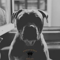 Conscience Song Download: Play & Listen Conscience all MP3 Song by ...