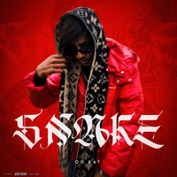 Snake Song Download: Play & Listen Snake all MP3 Song by Raahi @Gaana