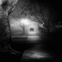 Nocturnal Reverie Song Download: Play & Listen Nocturnal Reverie all ...