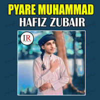 Pyare Muhammad Song Download: Play & Listen Pyare Muhammad Urdu MP3 ...