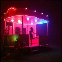 Was Ich Will Song Download: Play & Listen Was Ich Will German MP3 Song ...