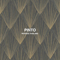 Pinto Song Download: Play & Listen Pinto all MP3 Song by Woodoo ...