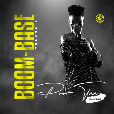 Isbhamu Song|Pro-Tee|Boom - Base (King of Bass), Vol. VII| Listen to ...