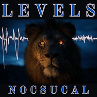 Levels Song Download: Play & Listen Levels all MP3 Song by Nocsucal @Gaana