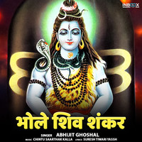 Bhole Shiv Shankar Song Download: Play & Listen Bhole Shiv Shankar all MP3 Song by Chintu ...