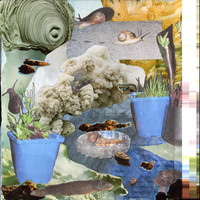 Slug Level Standards Song Download: Play & Listen Slug Level Standards ...