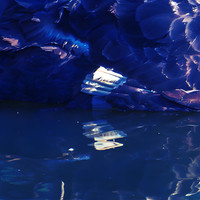 Lollopy Radar Song Download: Play & Listen Lollopy Radar Instrumental ...