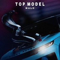 Top Model Song Download: Play & Listen Top Model Italian MP3 Song by ...