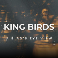 A Bird's Eye View Songs Download: Play & Listen A Bird's Eye View all ...
