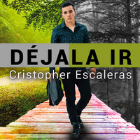 Déjala Ir Song Download: Play & Listen Déjala Ir Spanish MP3 Song by ...