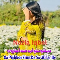 Da Pukhtoon Khwa Ba Sa Akhtar We Song Download: Play & Listen Da ...