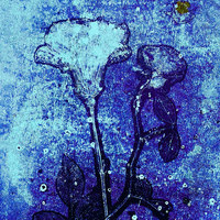 Azul Song Download: Play & Listen Azul Spanish MP3 Song by Cold Free ...