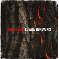 Sentinel Song Download: Play & Listen Sentinel all MP3 Song by Edgars ...