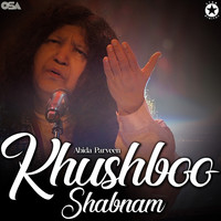 Khushboo Shabnam Song Download: Play & Listen Khushboo Shabnam Urdu MP3 ...