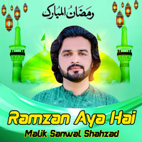 Ramzan Aya Hai Song Download: Play & Listen Ramzan Aya Hai Urdu MP3 Song by Malik Sanwal Shahzad ...