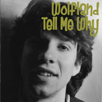 Tell Me Why Song Download: Play & Listen Tell Me Why all MP3 Song by ...