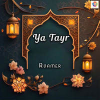 Ya Tayr Song Download: Play & Listen Ya Tayr Arabic MP3 Song by Mahmood ...