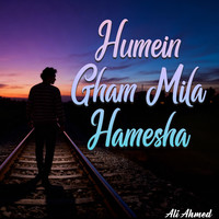 Humein Gham Mila Hamesha Song Download: Play & Listen Humein Gham Mila ...