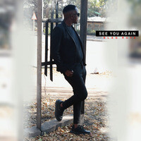 See You Again Song Download: Play & Listen See You Again all MP3 Song ...