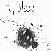 Parvaz Song Download: Play & Listen Parvaz Farsi MP3 Song by Sajad ...