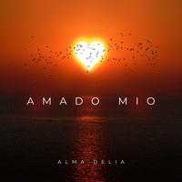 Amado Mio Song Download: Play & Listen Amado Mio Spanish MP3 Song by ...