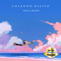 Volando Bajito (Afro House) [Remix] MP3 Song Download: Play & Download ...