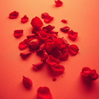 Loving You, Losing Time Song Download: Play & Listen Loving You, Losing ...