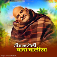 Neem Karoli Baba Chalisa Song Download: Play & Listen Neem Karoli Baba Chalisa all MP3 Song by ...