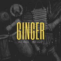 Ginger Song Download: Play & Listen Ginger all MP3 Song by DJ Nax @Gaana