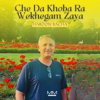 Che Da Khoba Ra Wekhegam Zaya Song Download: Play & Listen Che Da Khoba ...