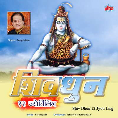 Om Namah Shivay Om Namah Shivay 12 Jyotiring MP3 Song Download by Anup ...