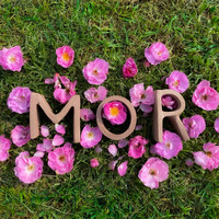 MOR Songs Download: Play & Listen MOR Spanish MP3 Song by Andrea ...