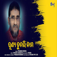 Punya Tumari Nama Song Download: Play & Listen Punya Tumari Nama Odia ...