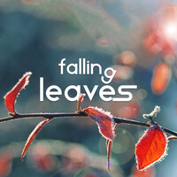 Falling Leaves Song Download: Falling Leaves MP3 Instrumental Song ...
