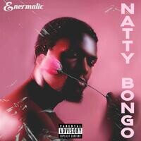 Natty Bongo Song Download: Play & Listen Natty Bongo all MP3 Song by ...