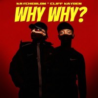 Why why Song Download: Play & Listen Why why Instrumental MP3 Song by ...