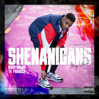 Shenanigans Song Download: Play & Listen Shenanigans all MP3 Song by ...