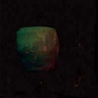 Operation Cherry Blossoms at Night Songs Download: Play & Listen ...