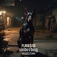 Underdog Songs Download: Play & Listen Underdog all MP3 Song by Flaco ...