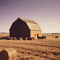 Cowboy’s Barn Dance Song Download: Play & Listen Cowboy’s Barn Dance ...
