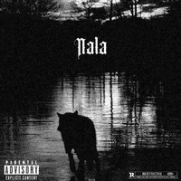 Nala Song Download: Play & Listen Nala French MP3 Song by by Vokal1991 ...