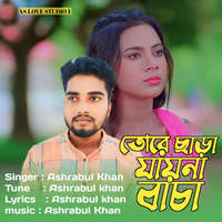 Tore Sara zaina basha Song Download: Play & Listen Tore Sara zaina ...