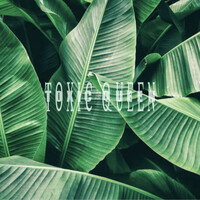 Toxic Queen Song Download: Play & Listen Toxic Queen all MP3 Song by ...