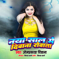 Naya Sal Me Diwana Royata Song Download: Play & Listen Naya Sal Me ...