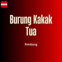 Burung Kakak Tua Song Download: Play & Listen Burung Kakak Tua ...