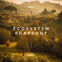 Ecosystem Rhapsody Songs Download: Play & Listen Ecosystem Rhapsody all ...
