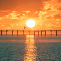 Got A Baby MP3 Song Download: Play & Download New Got A Baby MP3 Song ...