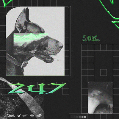 Rook Song|Roedel|247| Listen to new songs and mp3 song download Rook ...