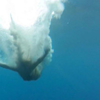 20/20: Accelerando (Original Score) Songs Download: Play & Listen 20/20 ...