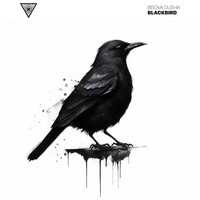 Blackbird Song Download: Play & Listen Blackbird all MP3 Song by BISOVA ...